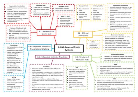 Complete Biology Revision Mind Map Set Aqa Asa Level Biology 7041