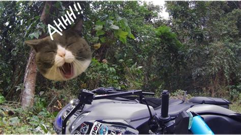 Team Budol Breakfast Ride Youtube