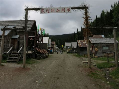 Barkervilles Chinatown British Columbia An Untold History