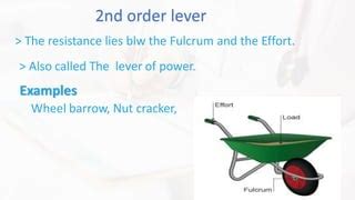 Lever And Its Types PPT