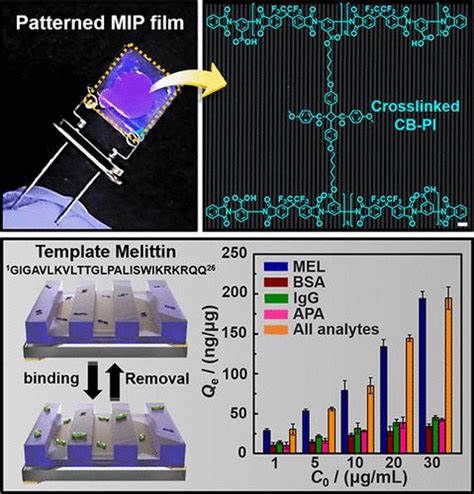 Molecularly Imprinted Chalcone Branched Polyimide Based Chemosensors
