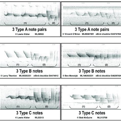 Spectrogram Examples Of The A B And C Note Types Two Examples Of