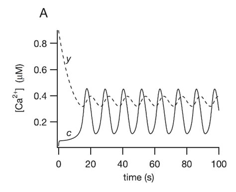 biophysics has anyone modelled calcium oscillations using matlab