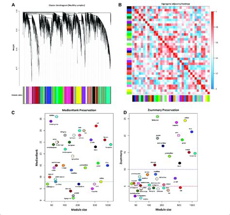 module preservation analysis a gene hierarchical clustering