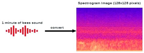 Conversion Of Bee Raw Sound Data To 128 Bin Mel Spectrogram Image