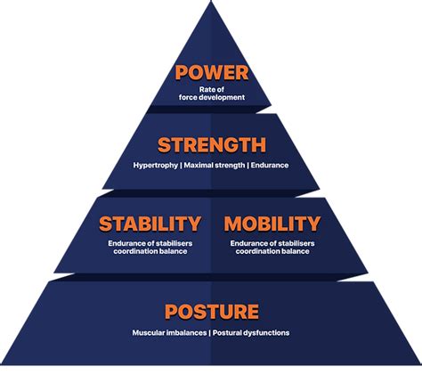 The Building Blocks Of Chiro Physio Care Spinalive The Building Blocks Of Chiro Physio Care Spinalive