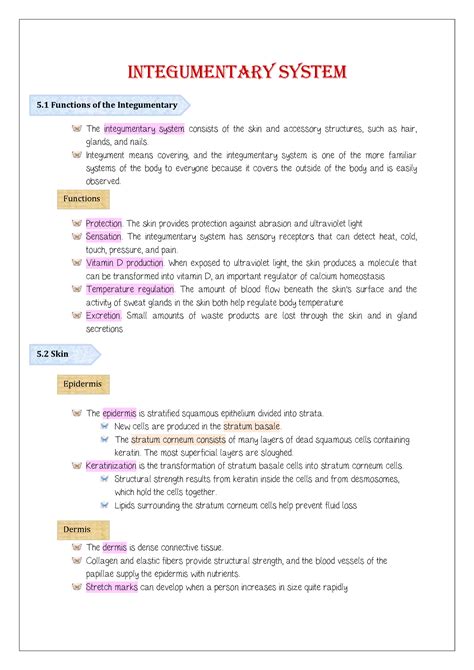 Integumentary System Functions