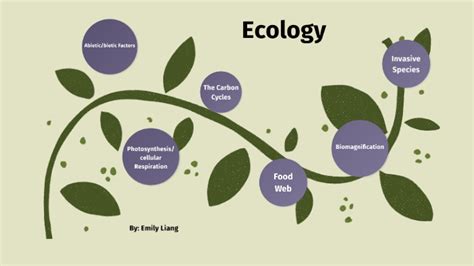 Ecology Mindmap By Emily Liang On Prezi