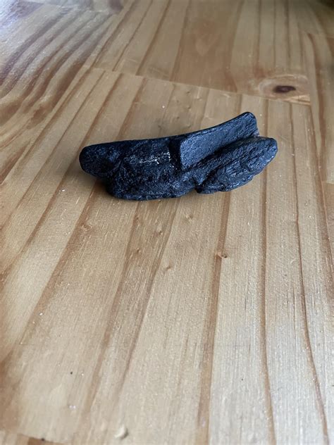 Possible Bone Fragment Found On The Beach Rfossilid