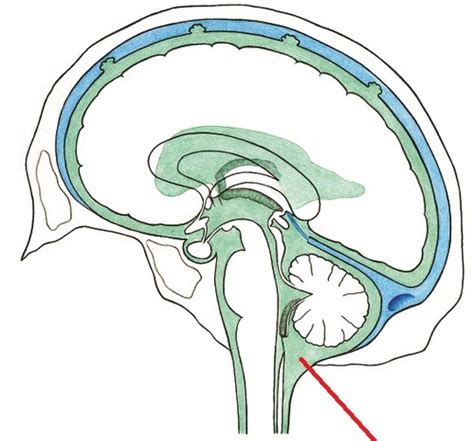 Cisternas Flashcards Quizlet