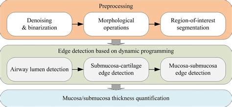 the workflow of the proposed automatic detection algorithm download