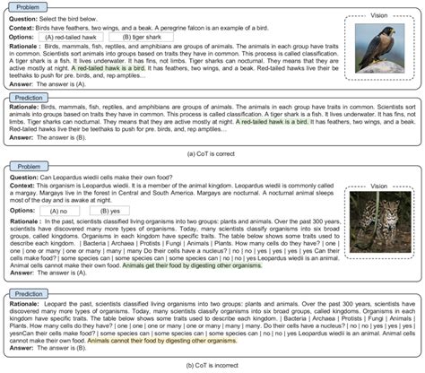 Examples Of Answers Are Correct While The Cot Is Correct A Or Download Scientific Diagram