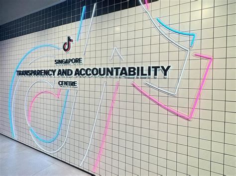 Nafisa Akabor On Linkedin Tiktok To Tackle Election Misinformation City Press