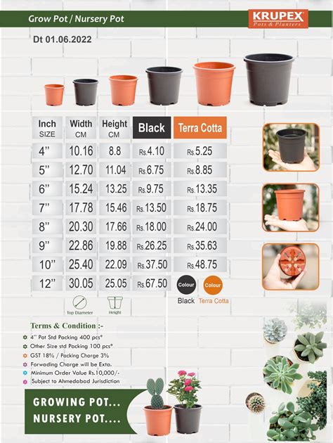 Nursery Container Sizes Chart Vrogue Co