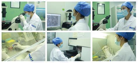 酵母的培养与冻存 知乎