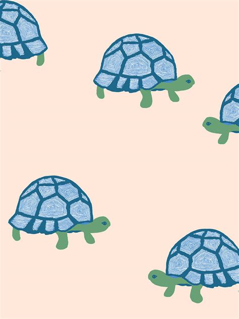 100 Tortoise Wallpapers 100 Tortoise Wallpapers