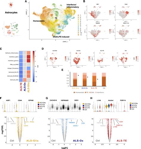 Als Molecular Subtypes Are A Combination Of Cellular And Pathological