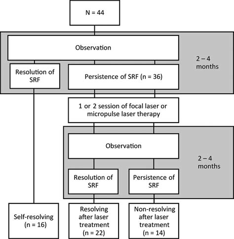 flowchart showing the categorization of the patients included