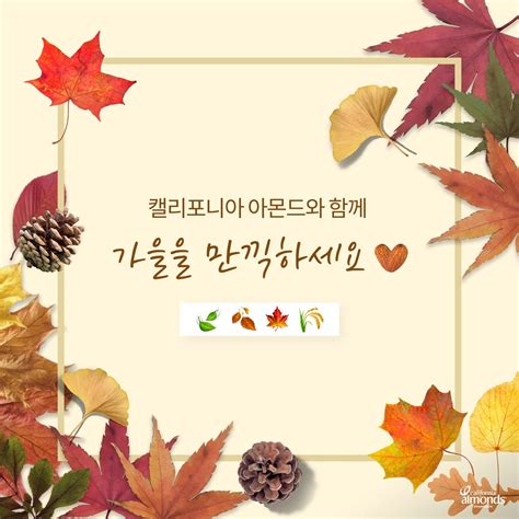 캘리포니아 아몬드 Event 가을 날씨와 단풍을 즐기기 위해 캠핑과 등산 또는 가까운 공원이나