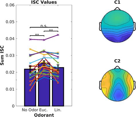 Frontiers Olfaction Modulates Inter Subject Correlation Of Neural Responses
