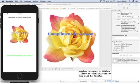 Localization Of Ios App In Swift 4 And Xcode 9 By Onyekachi Ezeoke Codeburst