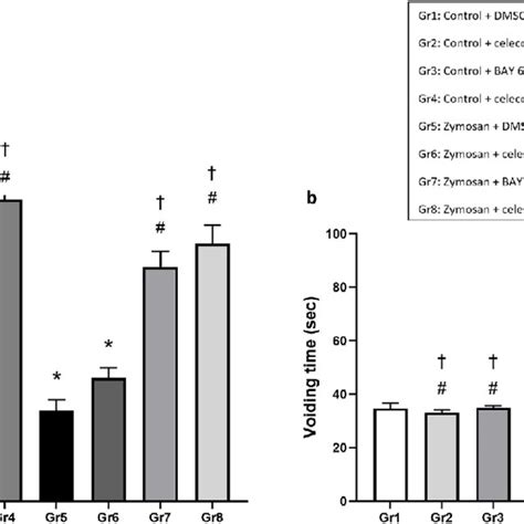 Bladder Compliance A And Voiding Times B During Cystometry A To