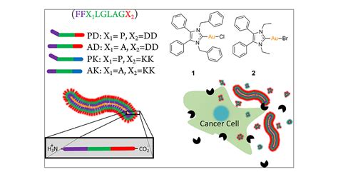 Encapsulation Of Gold Based Anticancer Agents In Protease Degradable Peptide Nanofilaments