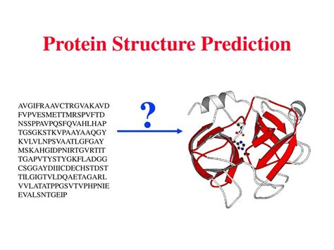 protein structure prediction ppt scaricare