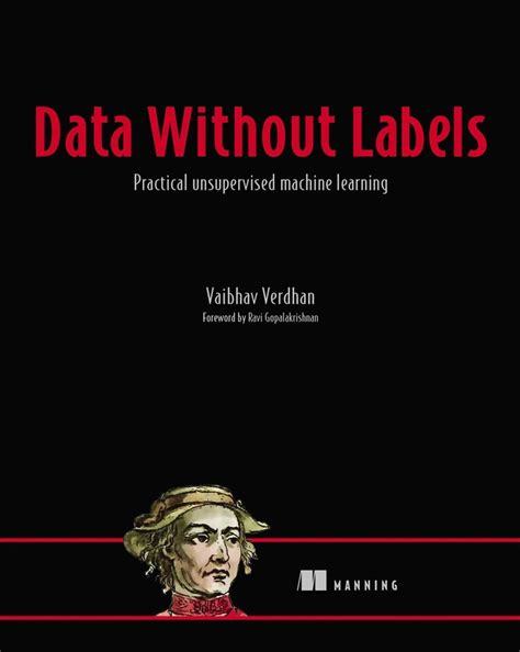 Data Without Labels Ebook By Vaibhav Verdhan Official Publisher Page