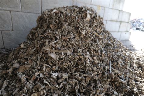 Zenrobotics To Achieve Higher Purity For Us Based Metals Recycling Company