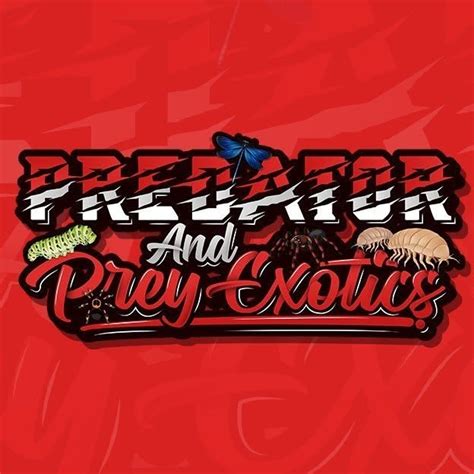 Predator And Prey Exotics Predatorandprey • Threads Say More