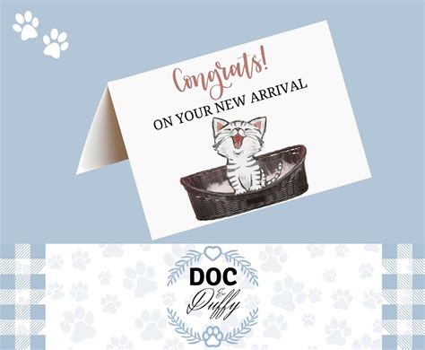 Congrats Kitten