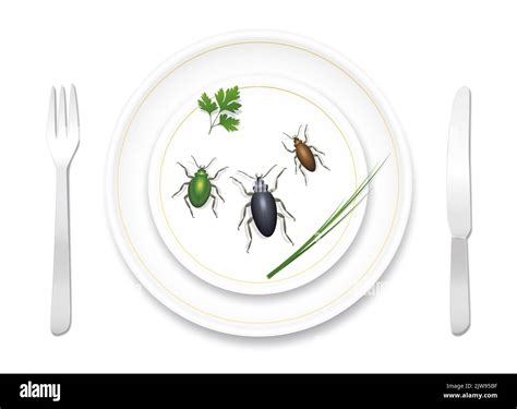 Eating Bugs Insects Beetles Noble Fine Porcelain Crockery Nicely