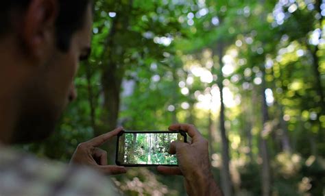 Six Essential Photo Editing Tools Worth Knowing About The Upcoming