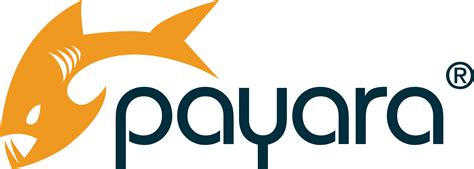Payara Services To Bring Platform Engineering Middleware Innovation At Javaone 2025
