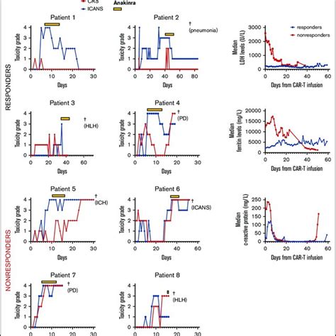Trend Of Toxicity And Inflammatory Markers A The Toxicity Grade Download Scientific Diagram