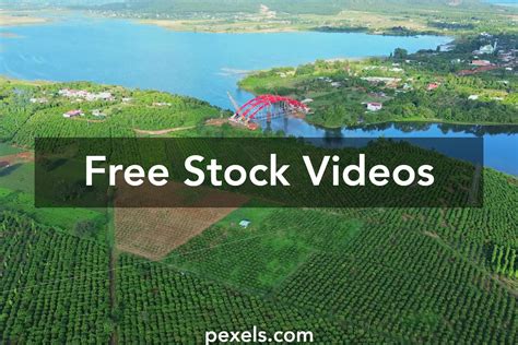 Anatomie Du Cou Videos Download The Best Free 4k Stock Video Footage