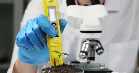 Soil Laboratory Analysis Scientist Measures Ph Of Soil Sample With