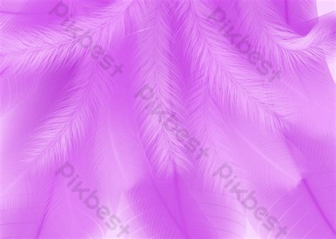 Bird Feather Background Purple Feathers Psd Free Download Pikbest
