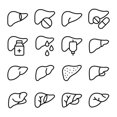 140 Biliary Tract Stock Illustrations Royalty Free Vector Graphics And Clip Art Istock