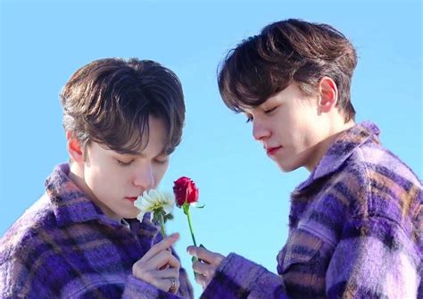 Imbroglio By Cacha Medium