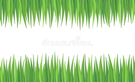 Seamless Grass Pattern Stock Vector Illustration Of Summer 90223704