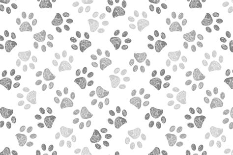 Paw Print Seamless Pattern Creative Market