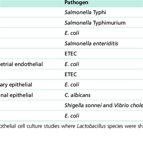 Pathogen Adhesion Prevention Studies Download Scientific Diagram