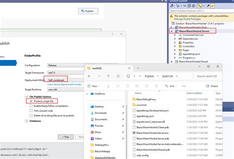 c how to set dotnet publish command parameters for publishing an asp core project hosting
