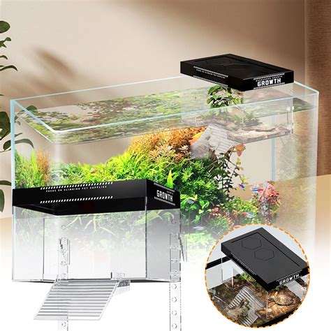 Turtle Basking Platforms Under 5 Xqxayjr Large Acrylic Turtle