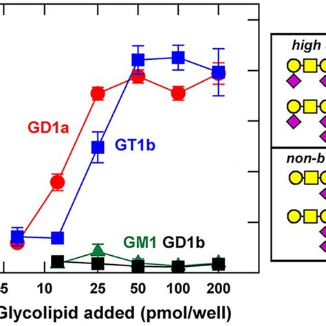 Ganglioside Structure And Biosynthesis The Structure Of Disialo