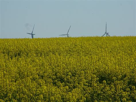 Elevation Of Passow Germany Topographic Map Altitude Map