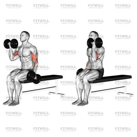 Dumbbell Alternate Biceps Curl Exercise Video Fitwill