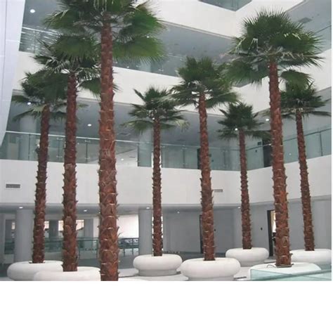 Norda Outdoor Artificial Palm Trees Faux Palm Trees For Outdoor
